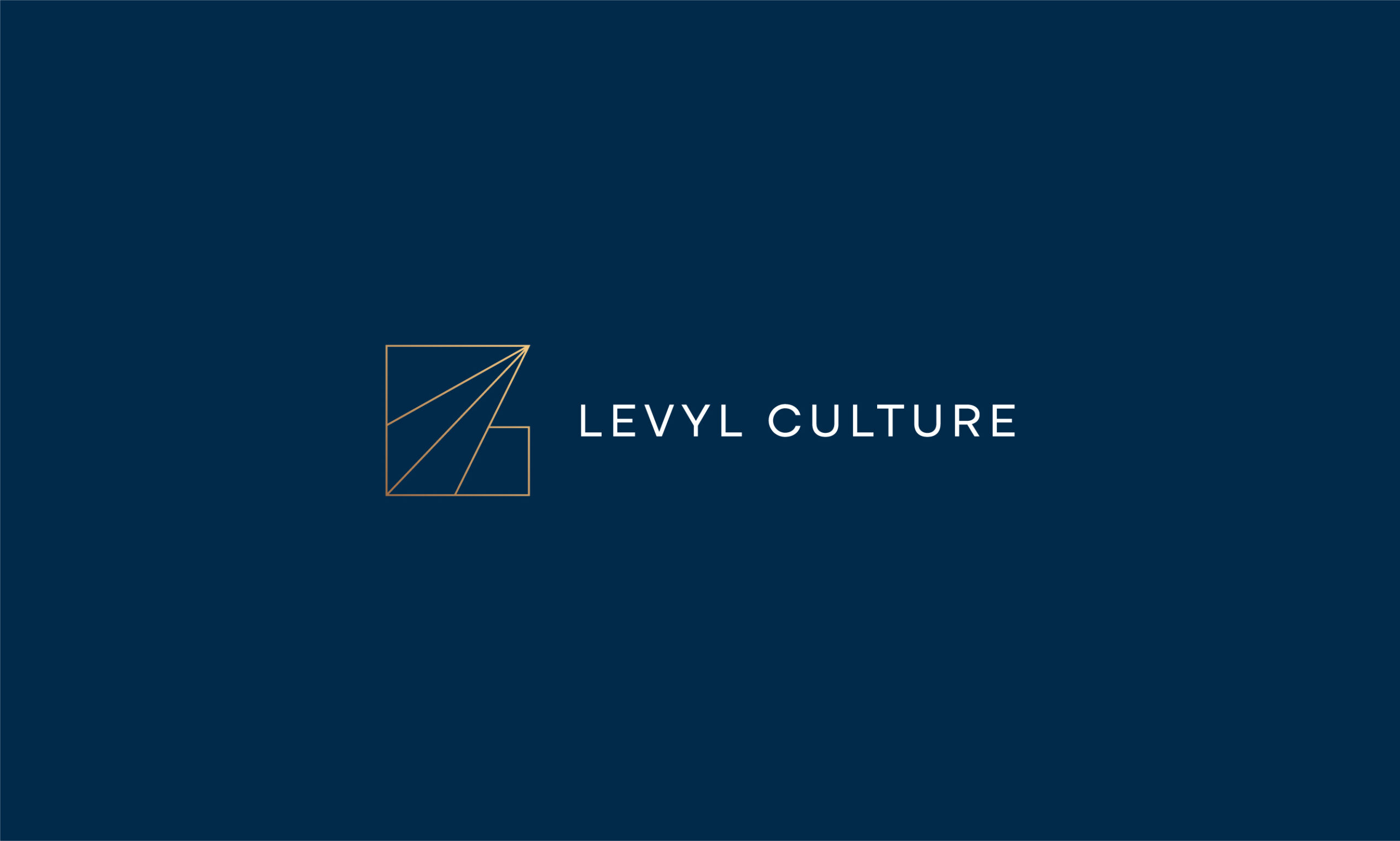 Transform Your Company Culture with Levyl Culture Designers